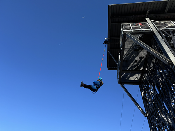 Thrilling New Zip Wire - Caravan Industry and Park Operator